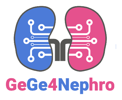 Artificial Intelligence Algorithms - GeGe4Nephro